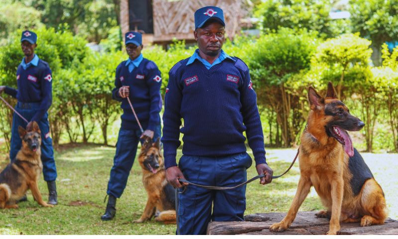 About – Vigilmax Security