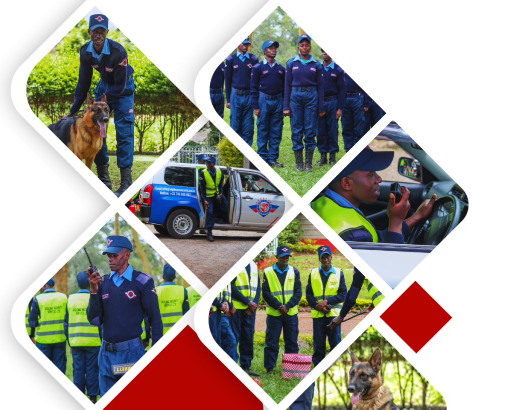 Vigilmax Security – We offer high quality, affordable and demand driven security and logistics ...